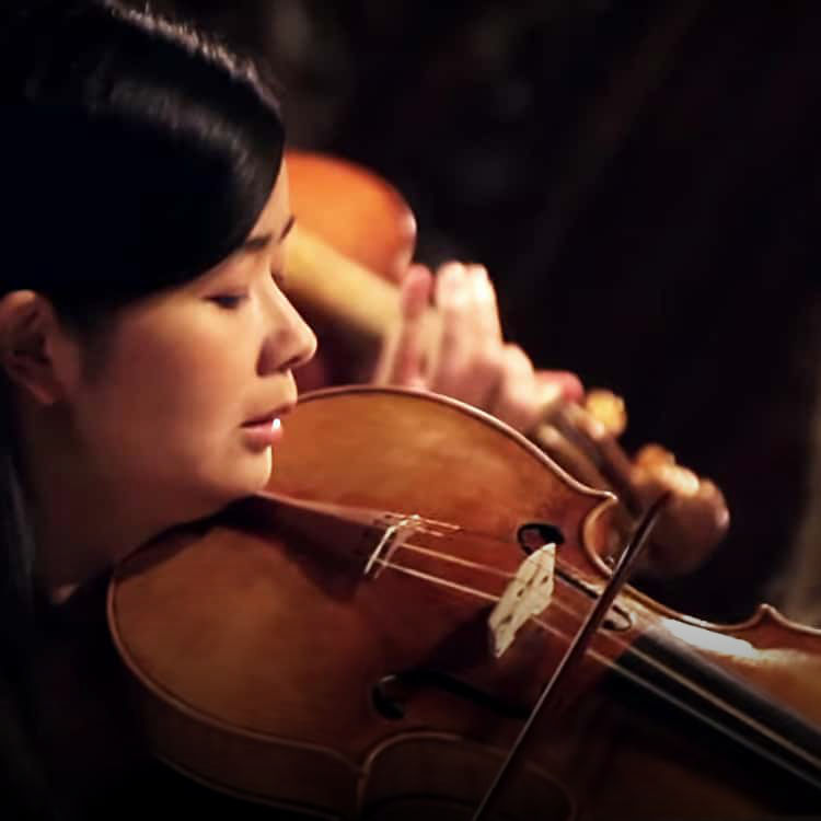 Concerto in G major for Viola - Video - Bremer Barockorchester